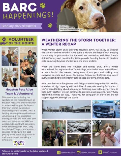 BARC February 2025 Newsletter | Houston BARC Foundation