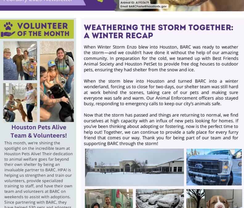 BARC February 2025 Newsletter | Houston BARC Foundation