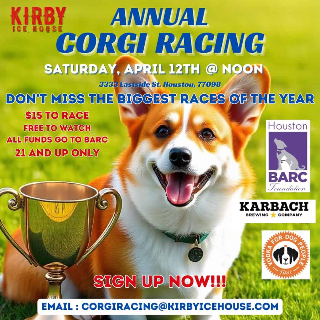 Corgi Racing IG 2025 | Houston BARC Foundation